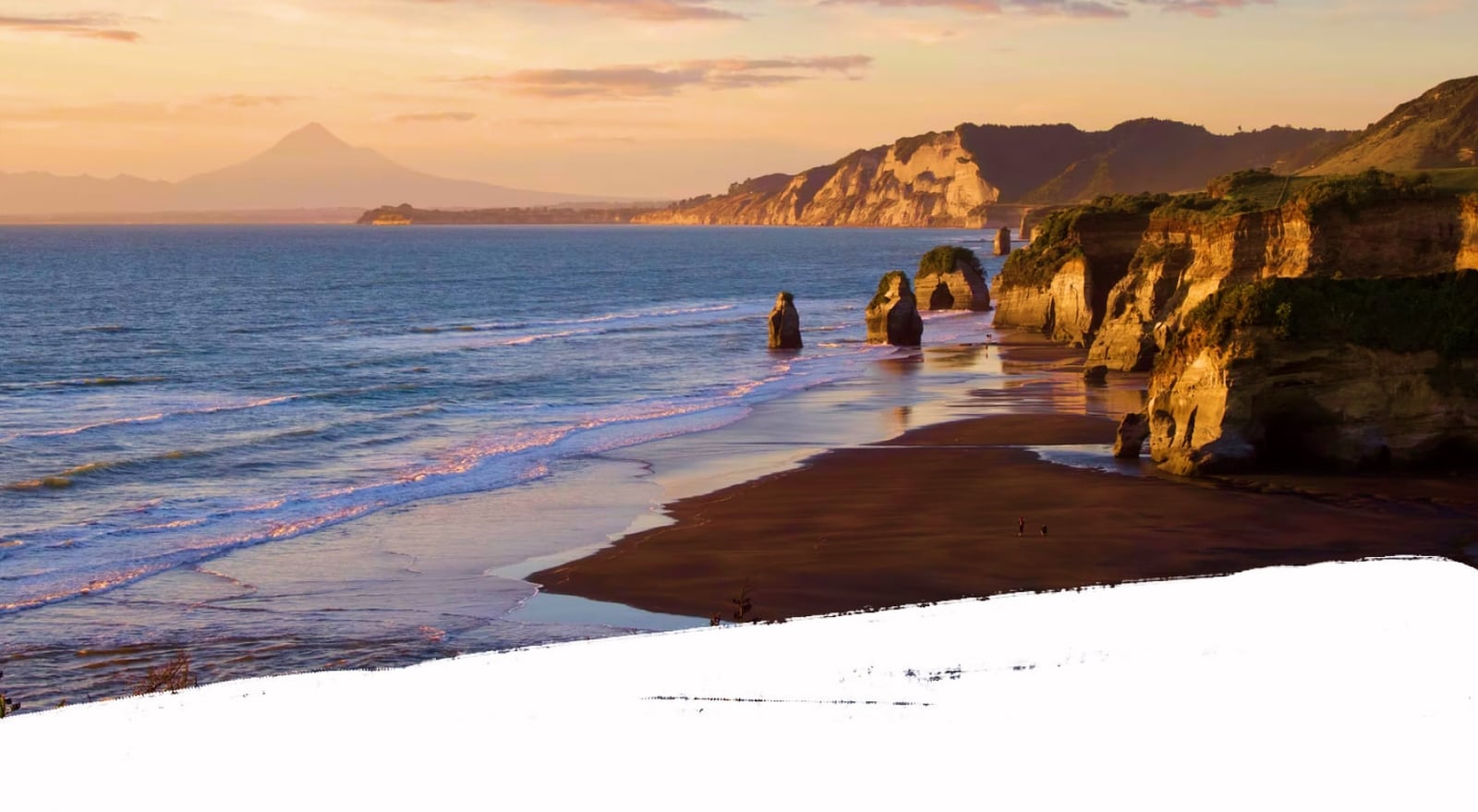 Freeze Dried Raw Meat - Good Noze: NZ Made Pet Nutrition – GoodNoze